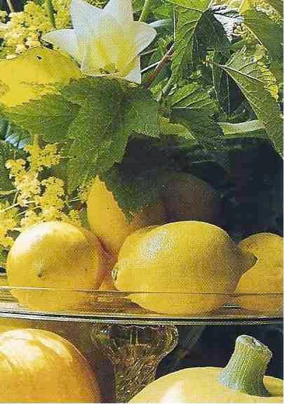 Kitchens I Have Loved: Discovering Walda Pairon