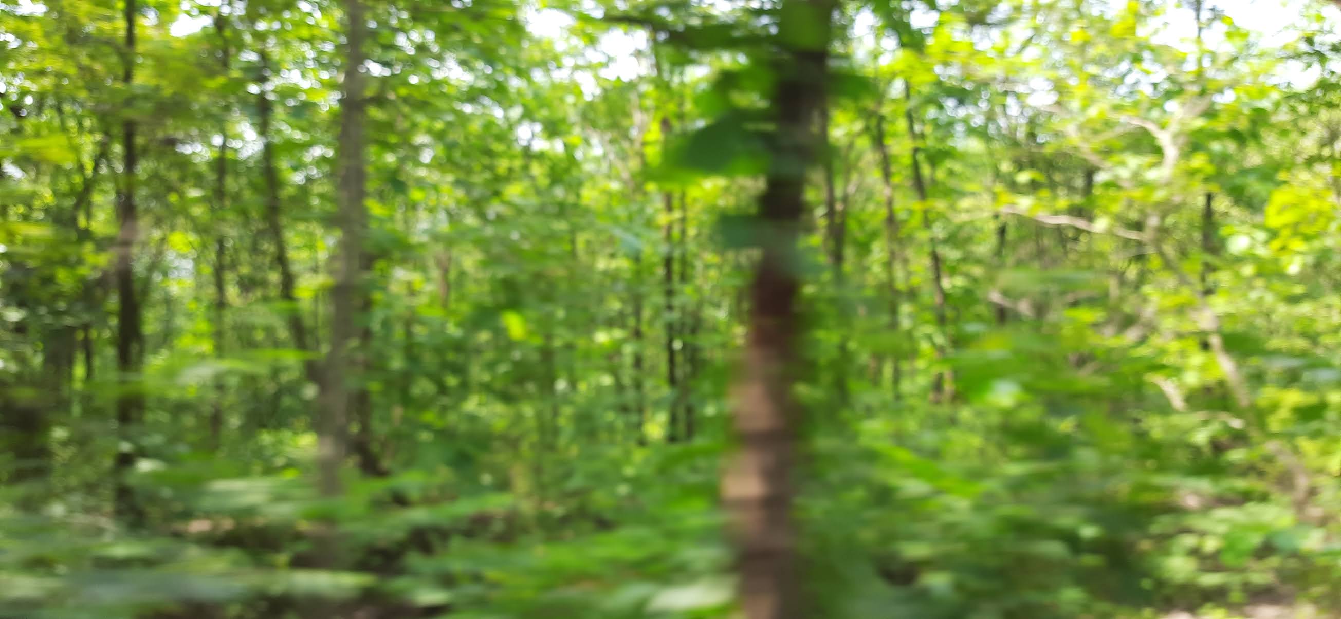 Sharad Pandhare's Educational Blog: Incredible Nature