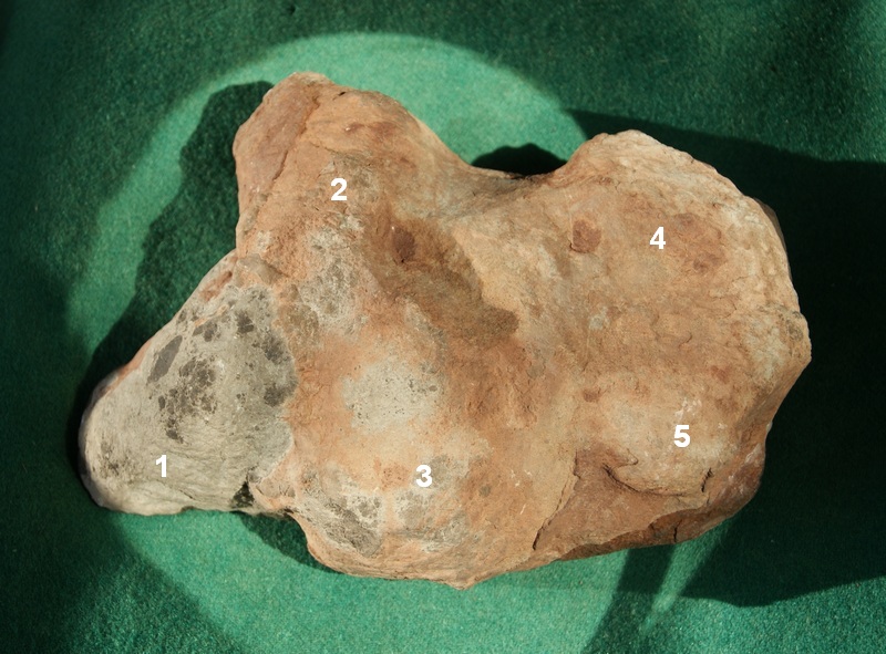 Epoka kamienia lanego.: Septaria - mistyfikacja naukowa.