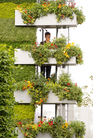 Mashmoom: Chelsea Flower Show , London 2012