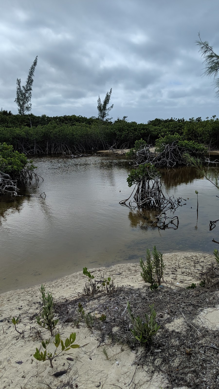 Meeks Patch, Eleuthera, Bahamas