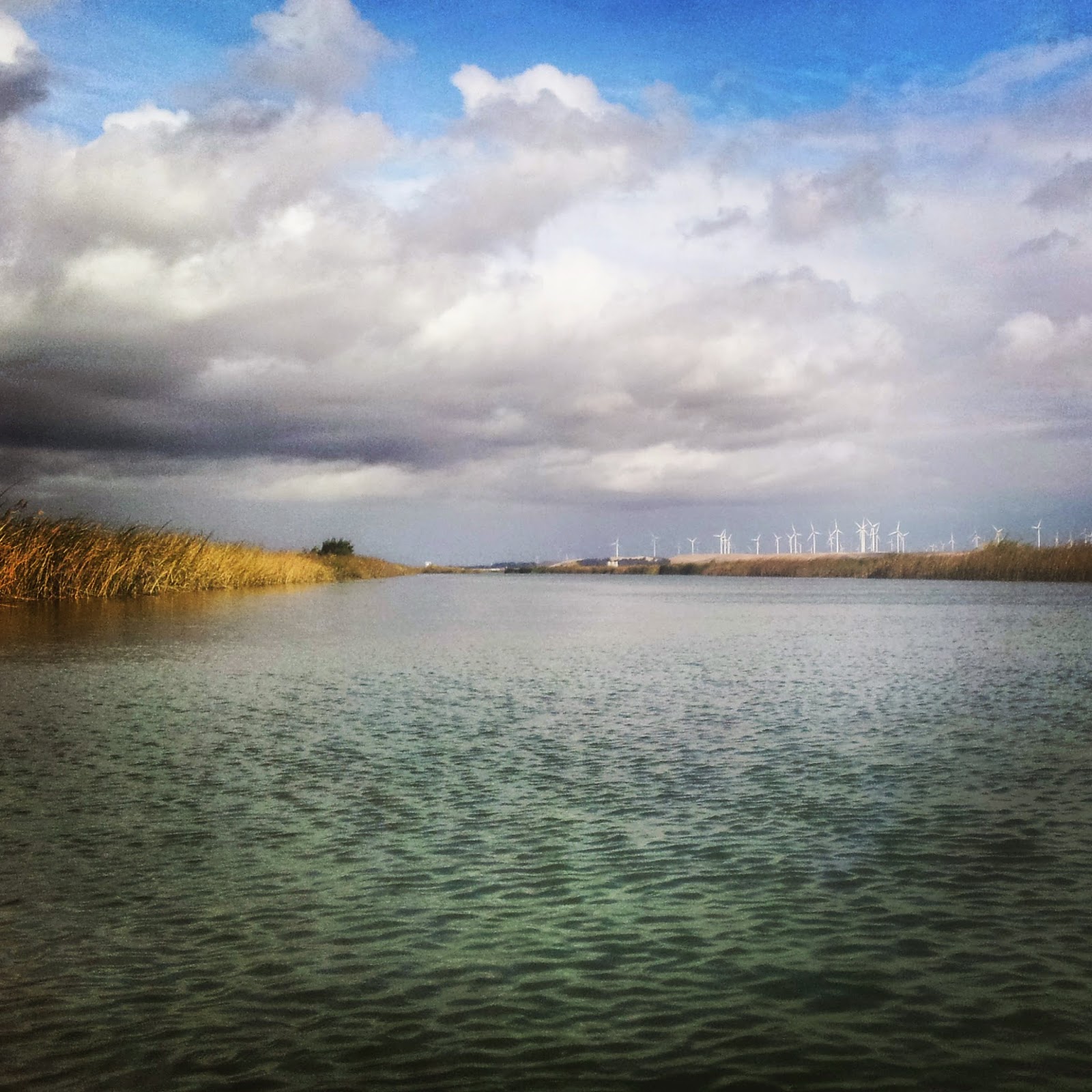 Kayaking the California Delta: Destination Collinsville