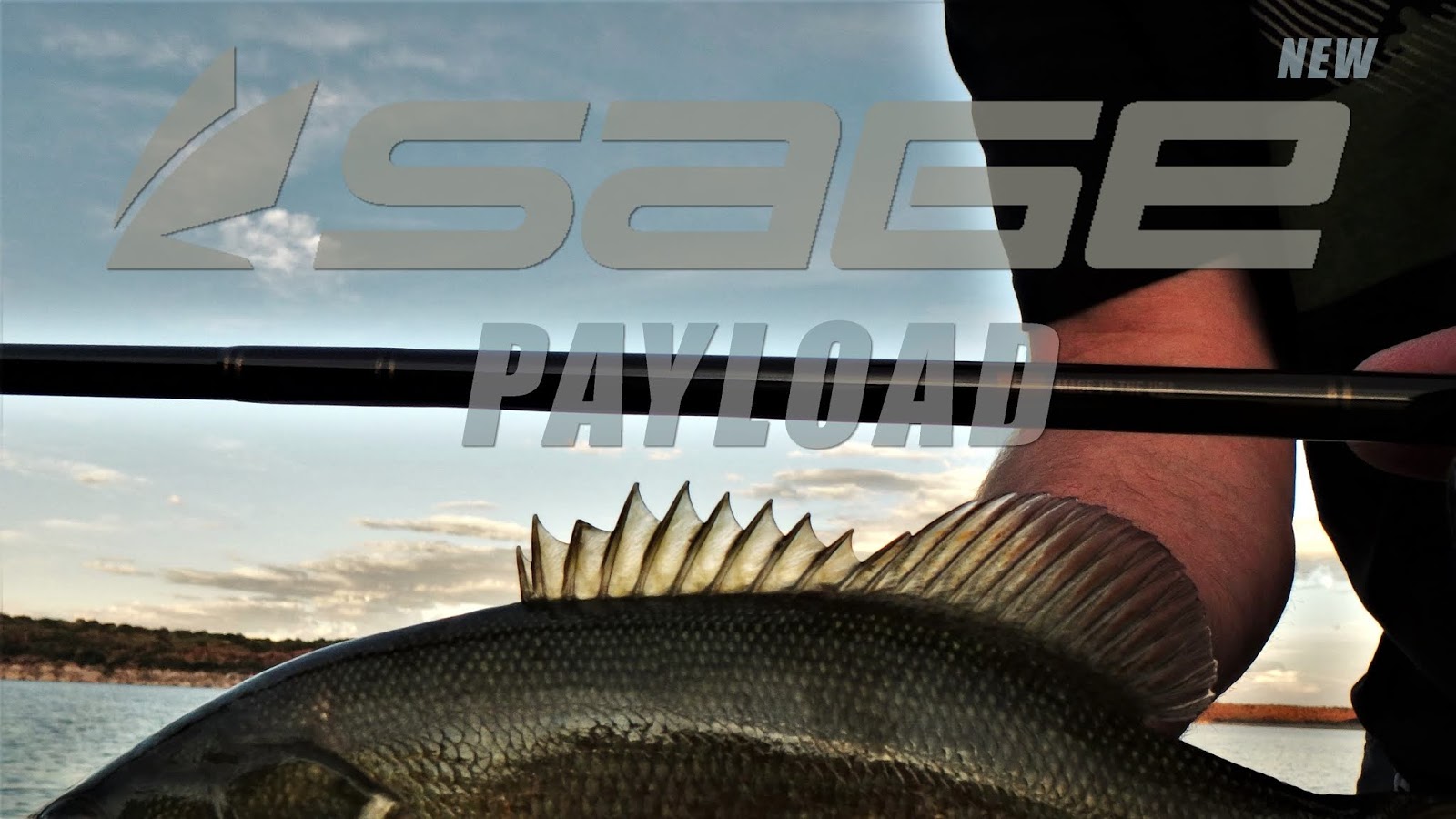 Sage Fly Fishing Wallpaper