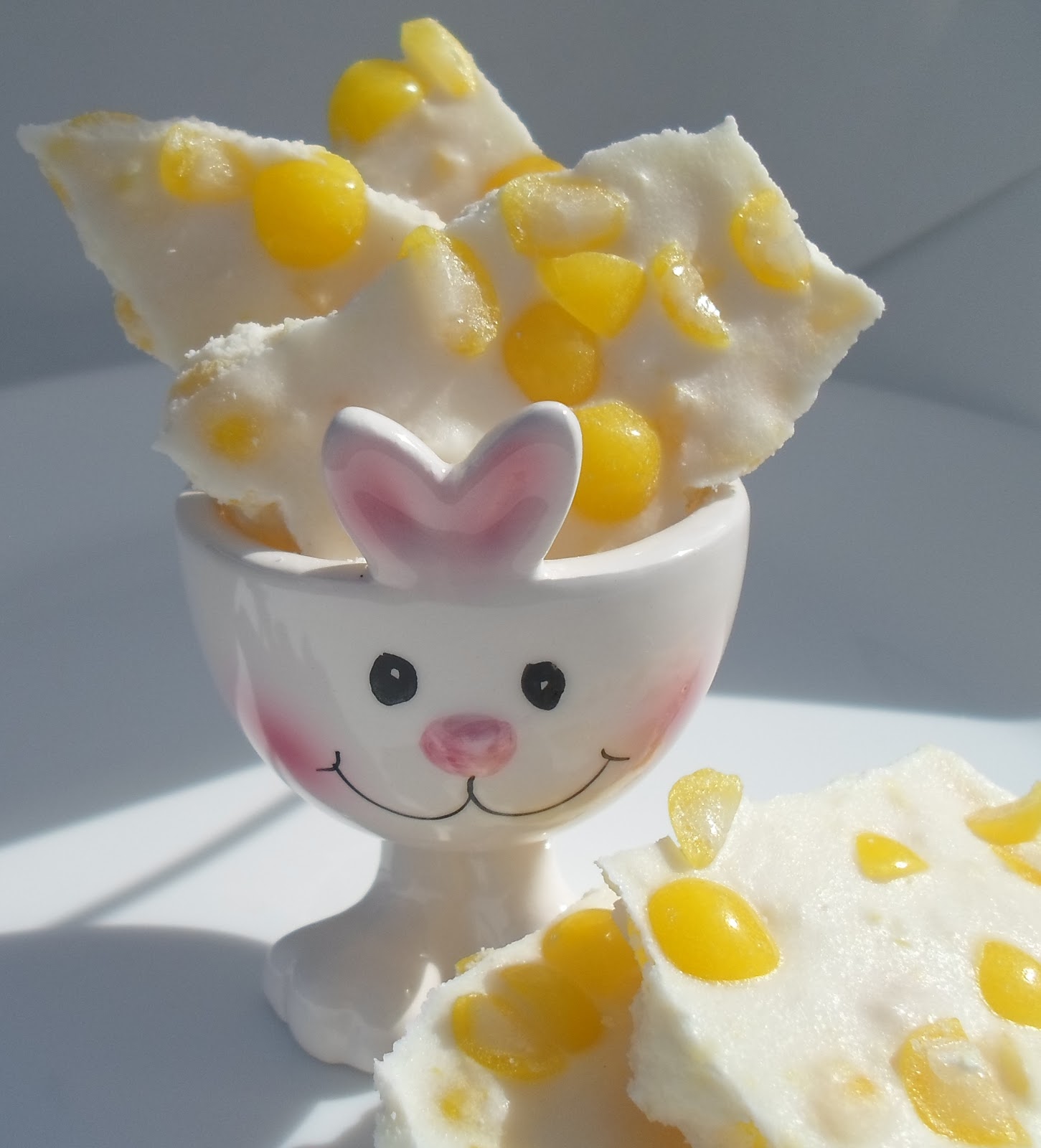 Happier Than A Pig In Mud: 2 Ingredient Lemon Bark for Spring