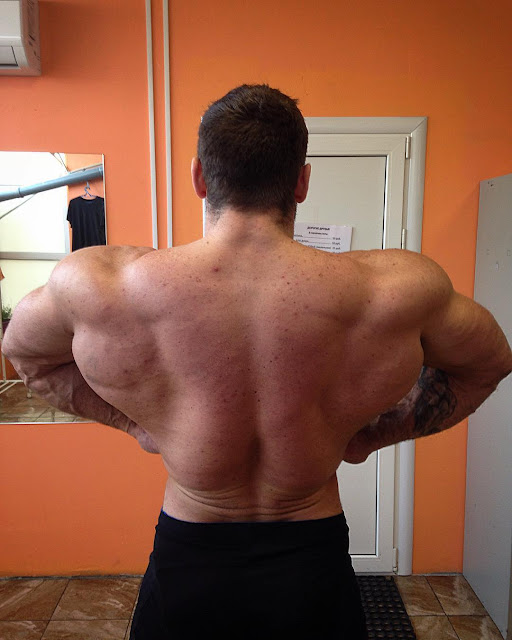 Muscle Lover: Russian Classic Physique bodybuilder Mikhail Maslov