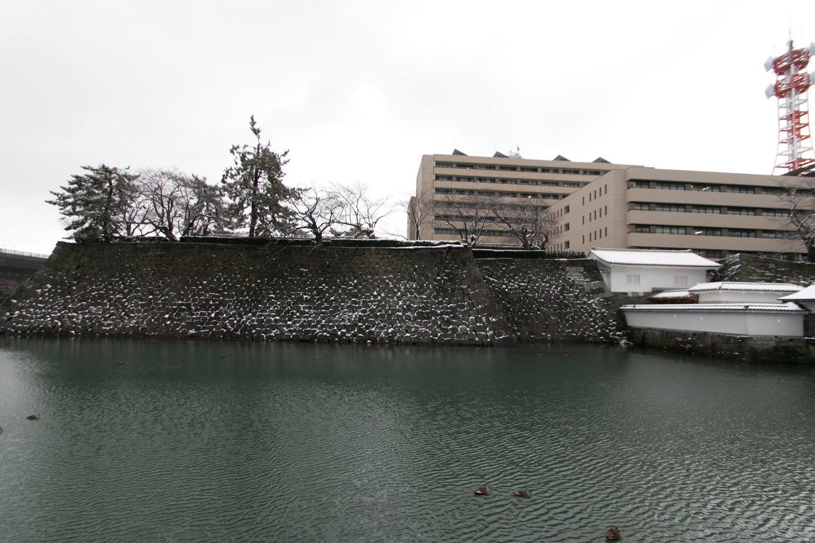 Fukui Castle -Magnificent stone walls remains in city center- | Japan ...