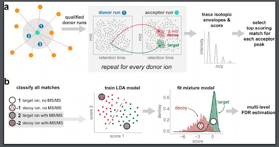 News in Proteomics Research: LFQmbrFDR! (FDR for Match Between Runs!)