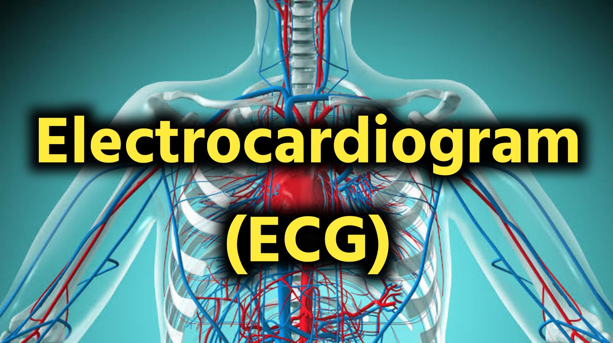 Electrocardiogram (ECG)
