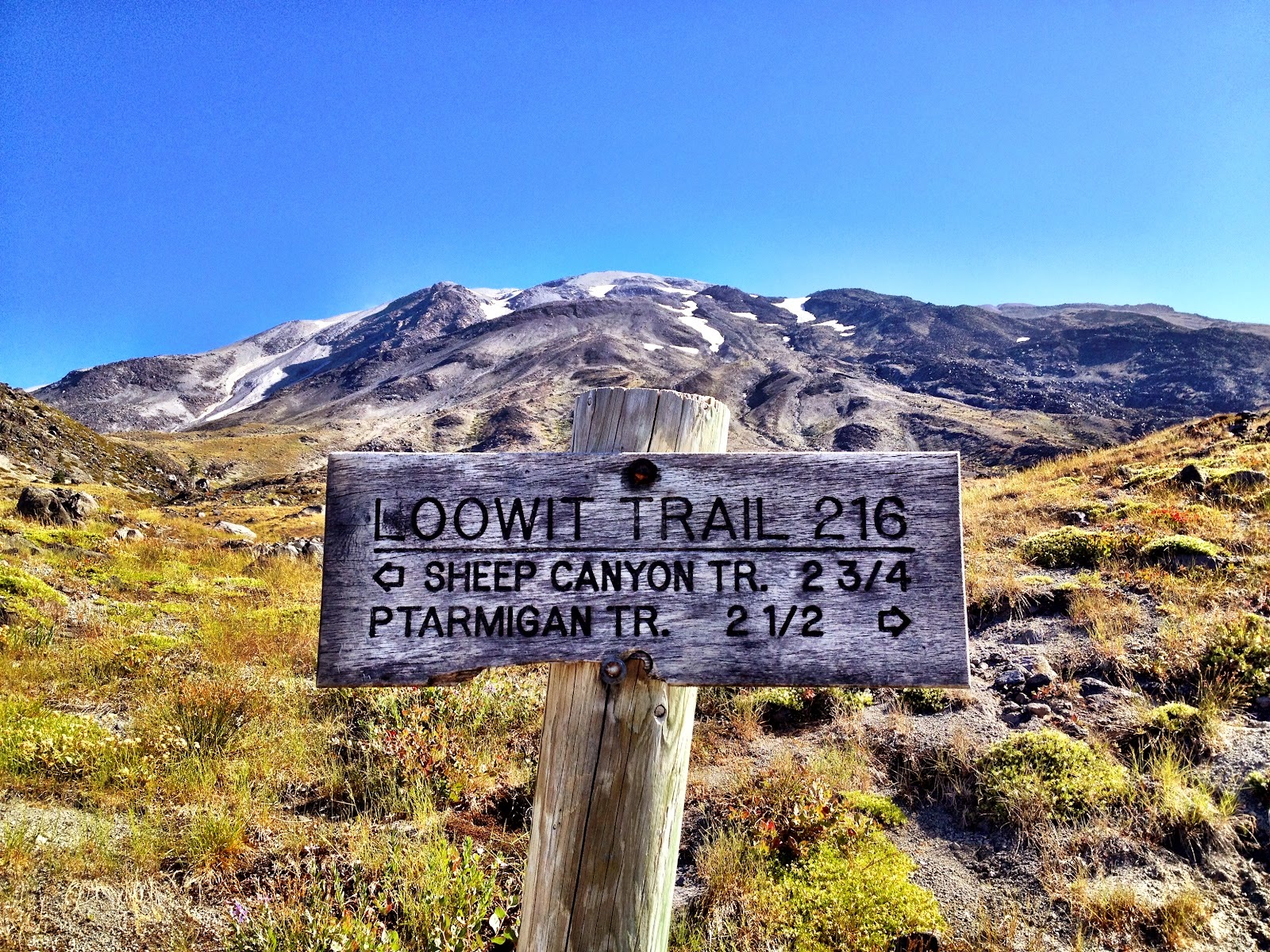 Forever Pace: Jbob's Volcanic 50k Race Report - Mt. St. Helens ...