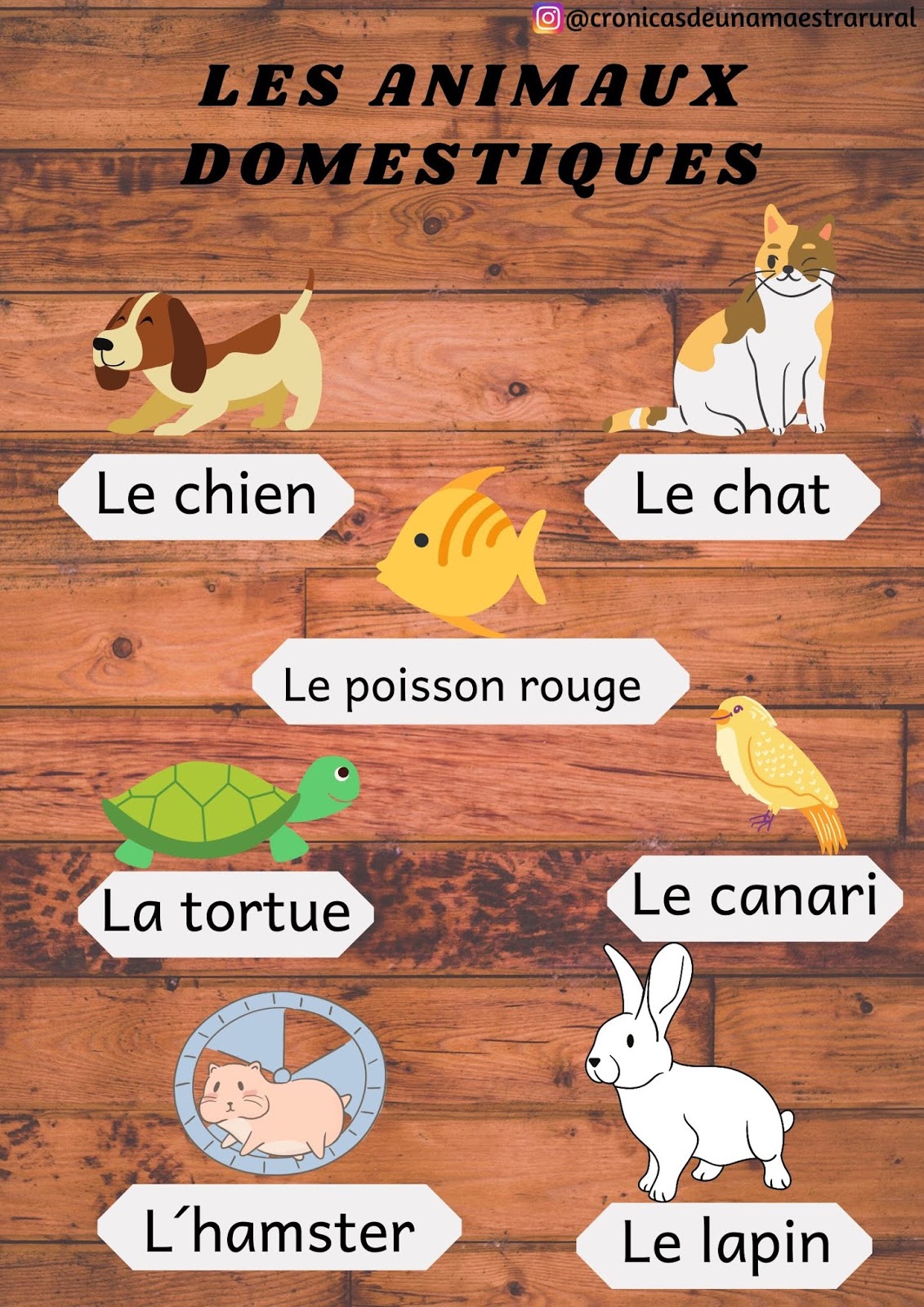 Crónicas de una Maestra Rural: LES ANIMAUX DOMESTIQUES