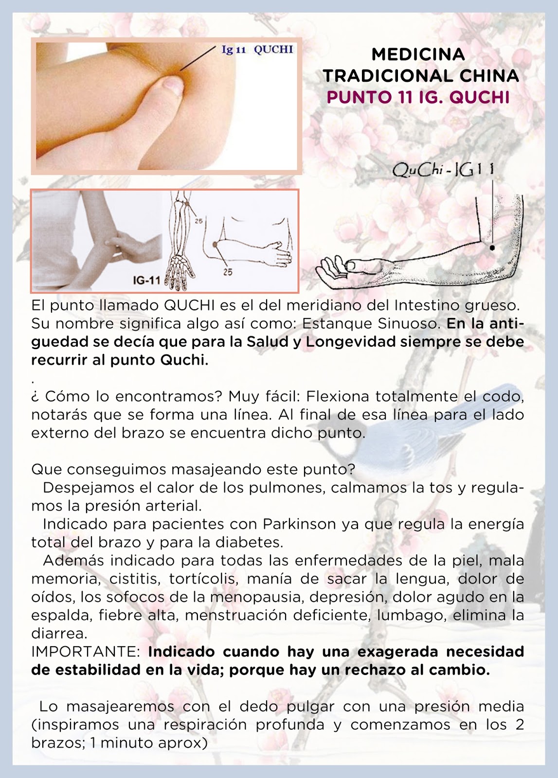 Gran Espíritu estás en mí: El punto QUCHI: Salud y Longevidad