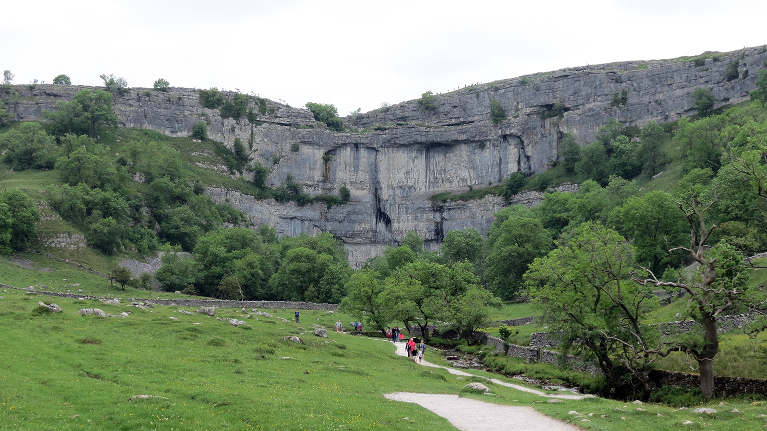 Airedale Otters: Peregrine Falcons, Malham Cove - Sunday 19th June 2016
