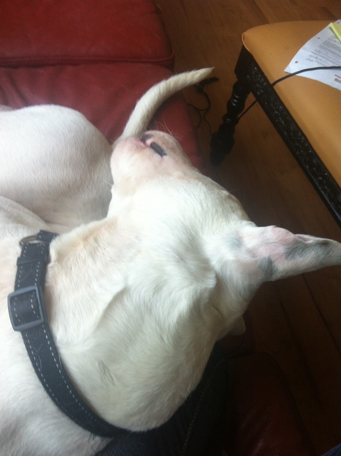 Training Toad: That was Then