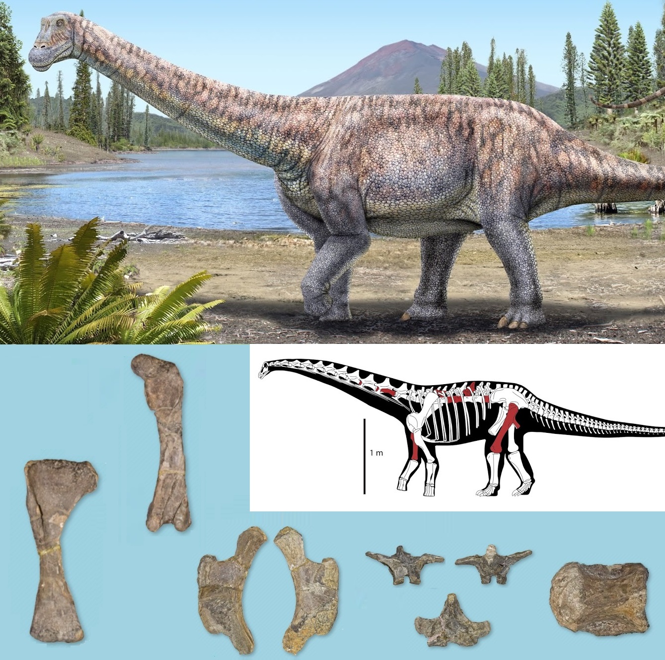 Species New to Science: [Paleontology • 2021] Arackar licanantay • A ...