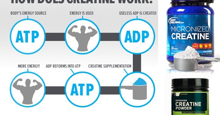 Creatine Effects on the Body - What it Does and How it Works