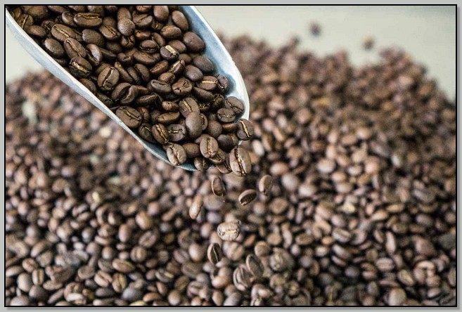 WHERE TO BUY COFFEE BEANS Tampacrit where-to-buy-coffee-beans-tampacrit