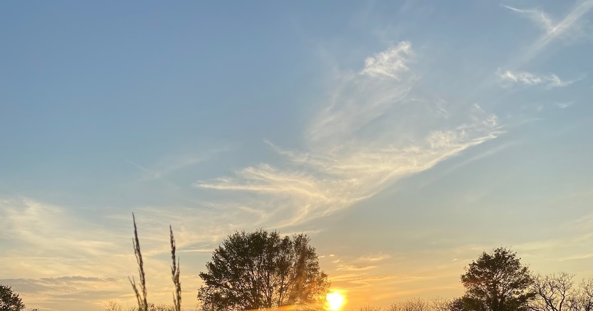 Cher Journal #15 - Julesetmoa