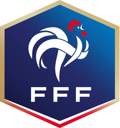 French football federation - FFF - French premier league table | france ...