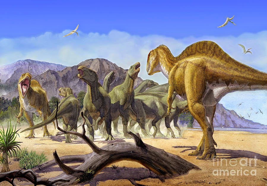 Mundo Pré-Histórico: Altispinax, o dinossauro de espinhas misteriosas