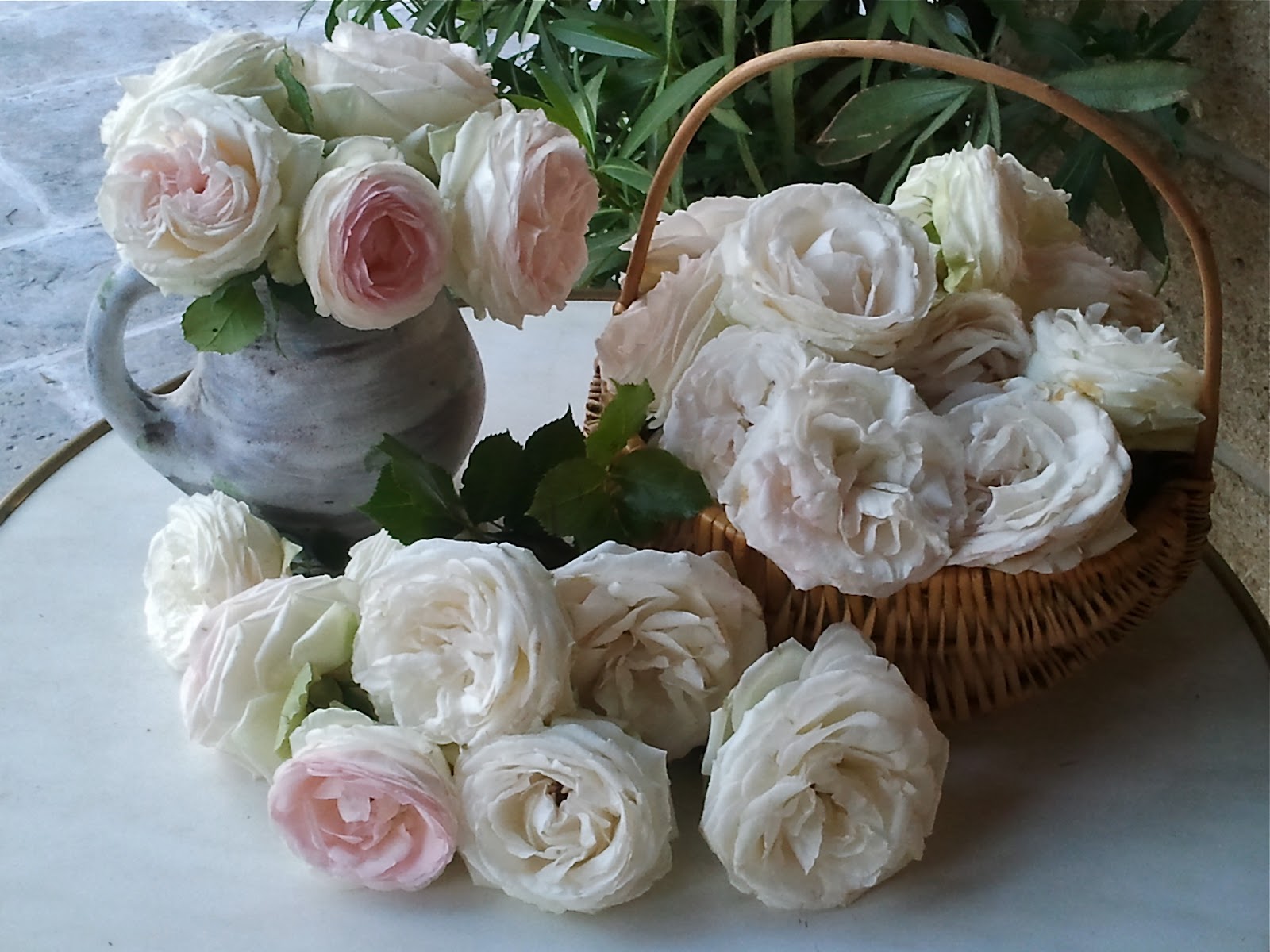 A French Education: POETRY IN ROSES