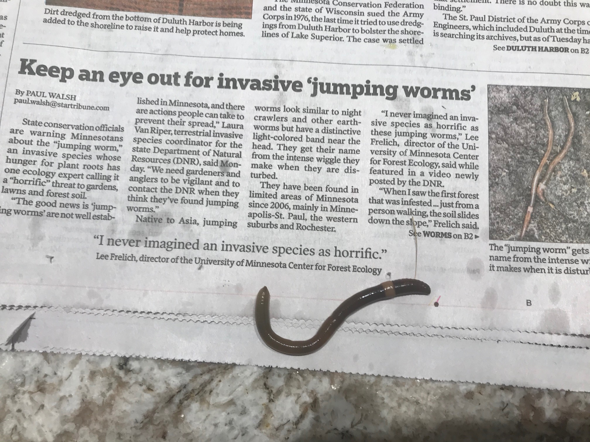 Jumping worms: What do farmers need to know?
