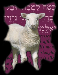 365 Forum: Day 225: Isaiah 52, 53 and 54