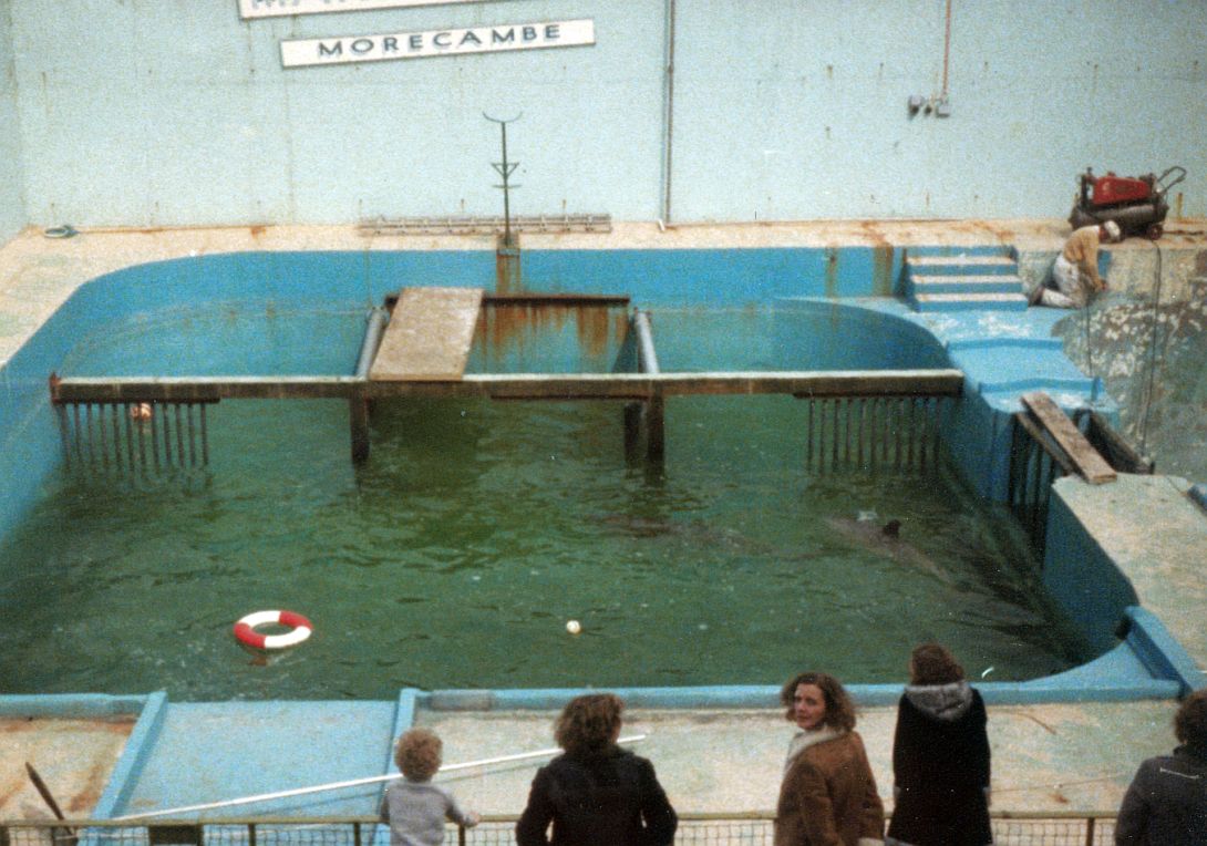 UK Dolphinaria Archive: Marineland - Morecambe: 1964 - 1990
