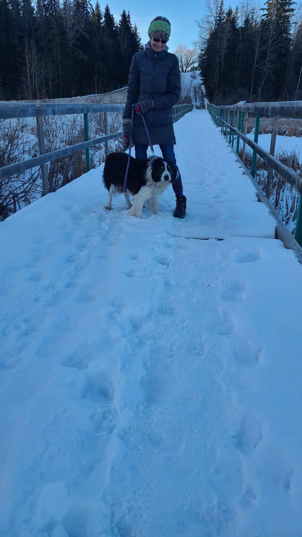 Walking Trails near Lacombe, Alberta: December 2, 2020 Walk from ...