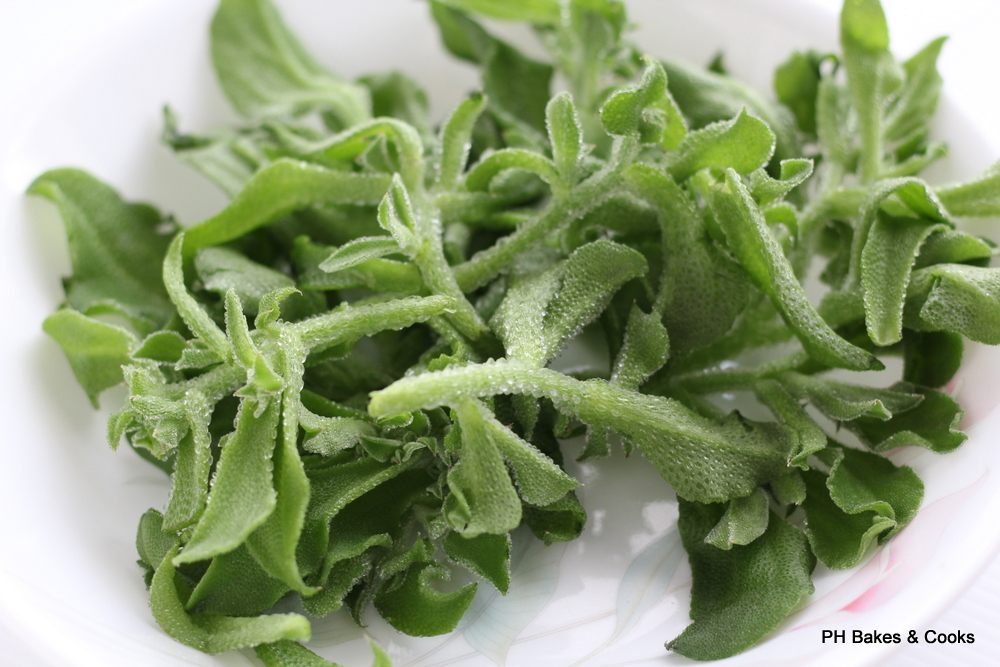 PH the Malaysian Carnivore: Ice Ice Veggie