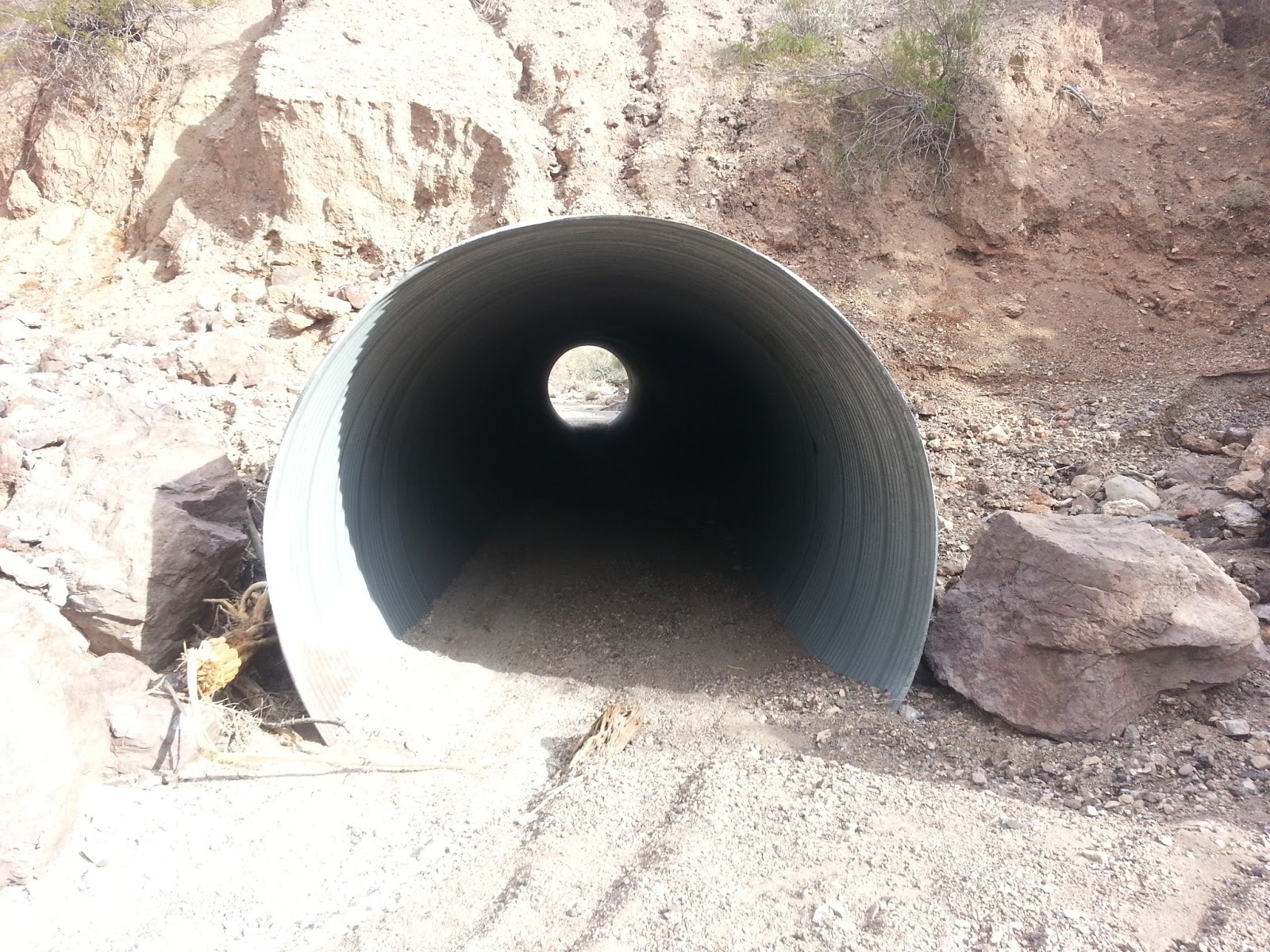 Sarah & Kevin's Excellent Adventure: Agua Caliente Scenic Drive