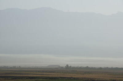 Between Neolithisation and Urbanisation in the Zagros Piedmont: Project