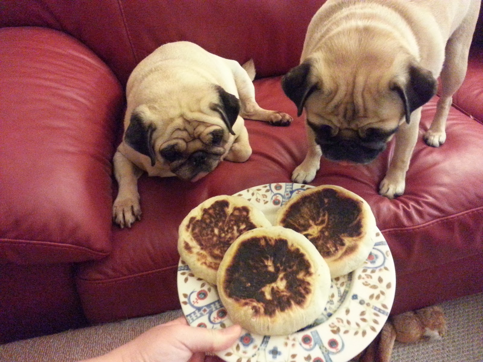 Grubbin' Pugs: Hoddeok (Korean Pancakes with Sweet Filling)