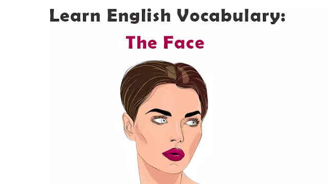 Learn English Vocabulary: The Face | Grammar For English Learners