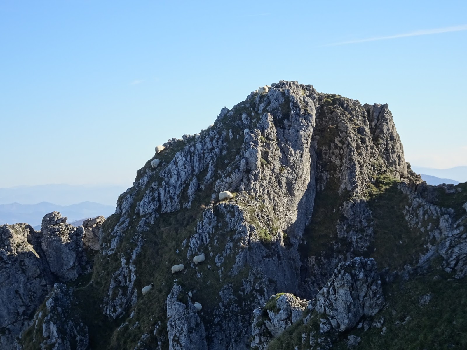 Viaje a Ithaka: Udalatx desde el Barrio de Udala