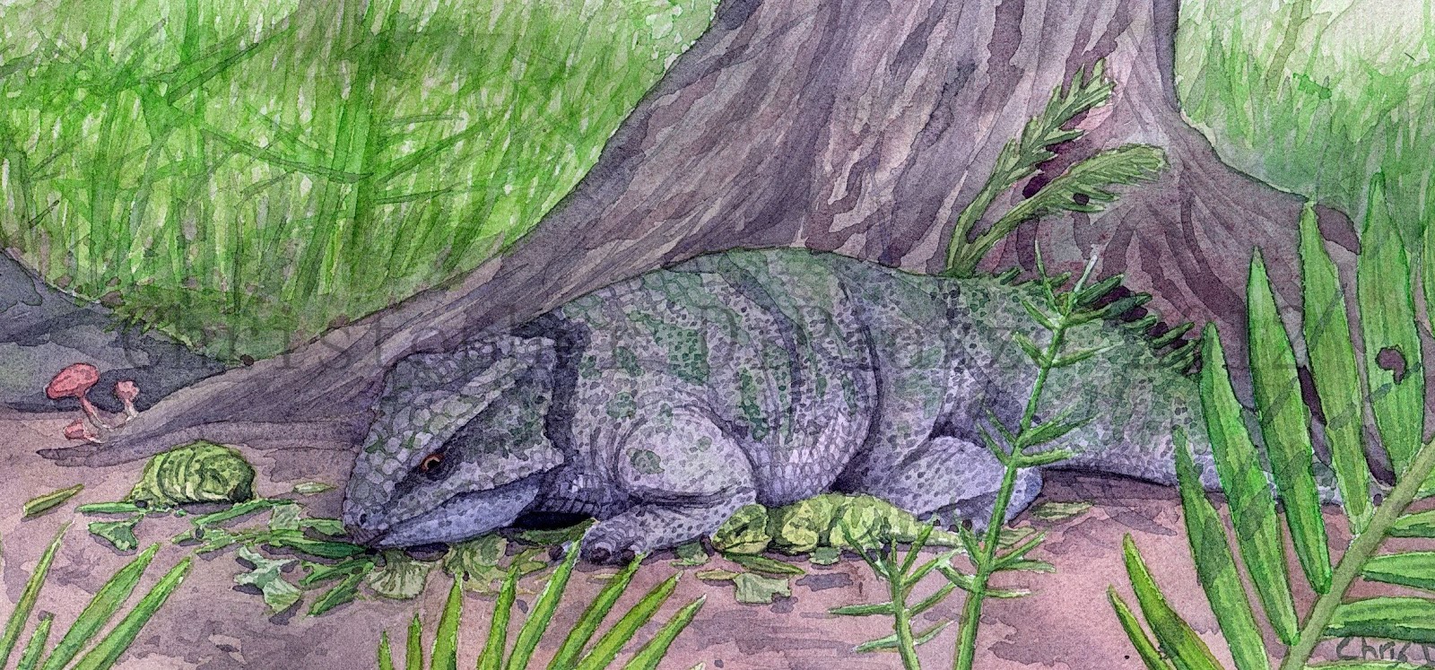 Prehistoric Beast of the Week: Yinlong: Prehistoric Animal of the Week