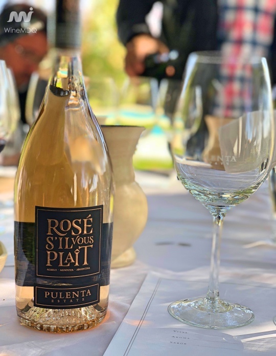 Wine MDQ: WineTour Mendoza 2018: Visita a Bodega Pulenta Estate