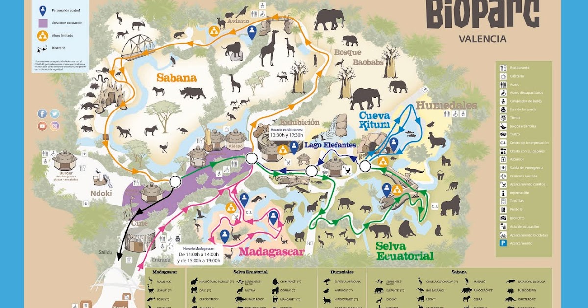 Bioparc Valencia “vuelve” este jueves 18 de junio