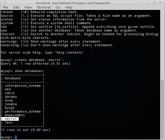 Master of SQLi: MySQL Command Line