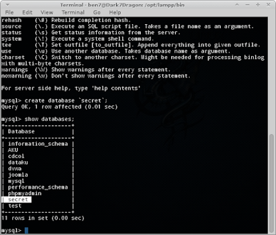 Master of SQLi: MySQL Command Line