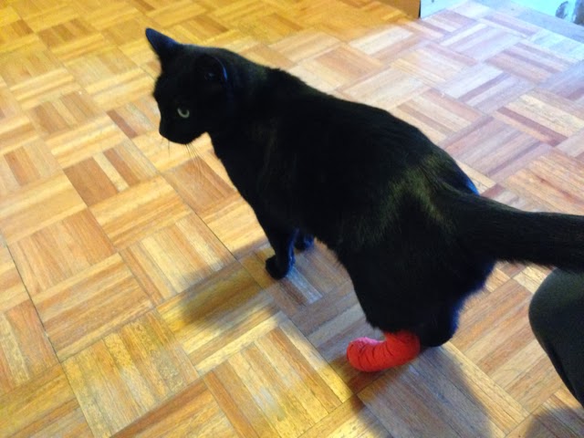 Where is Your Bicycle?