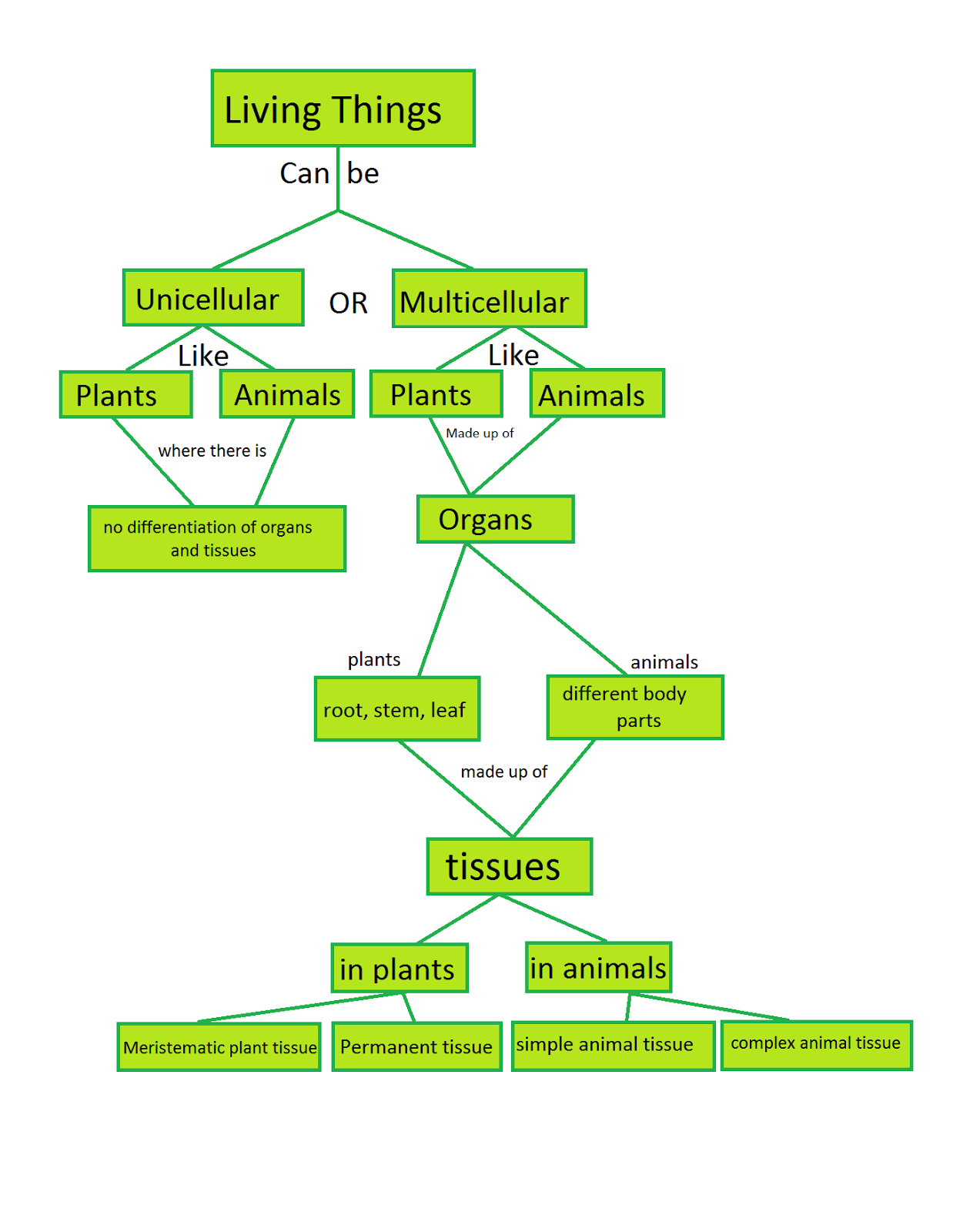 Collections: Useful & Important Data