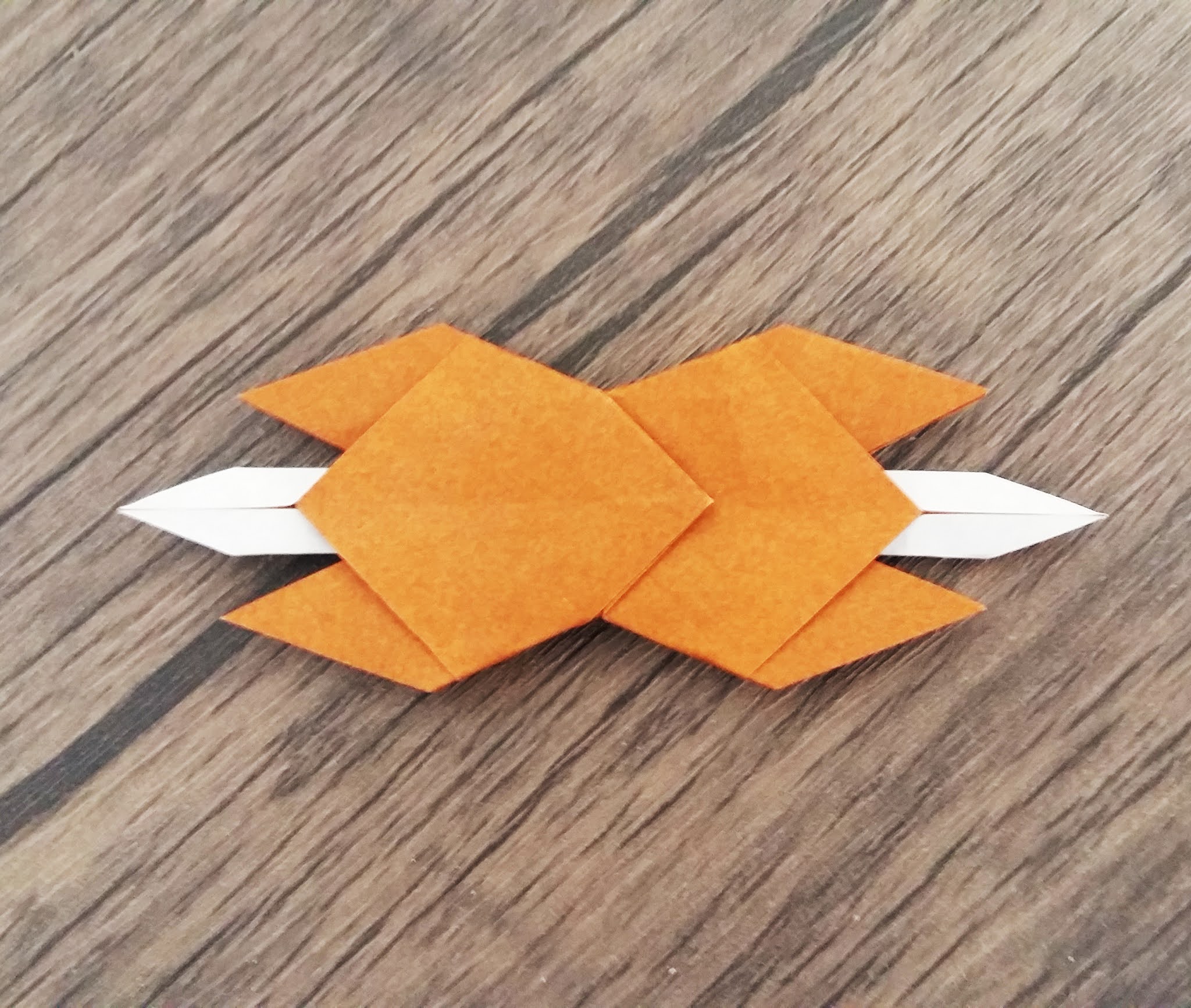 Origami Roasted Meat