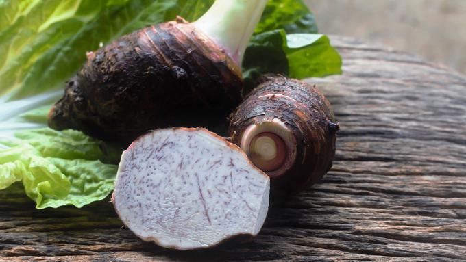 Sekilas Mengenal Klasifikasi dan Morfologi Tanaman Talas/keladi ...