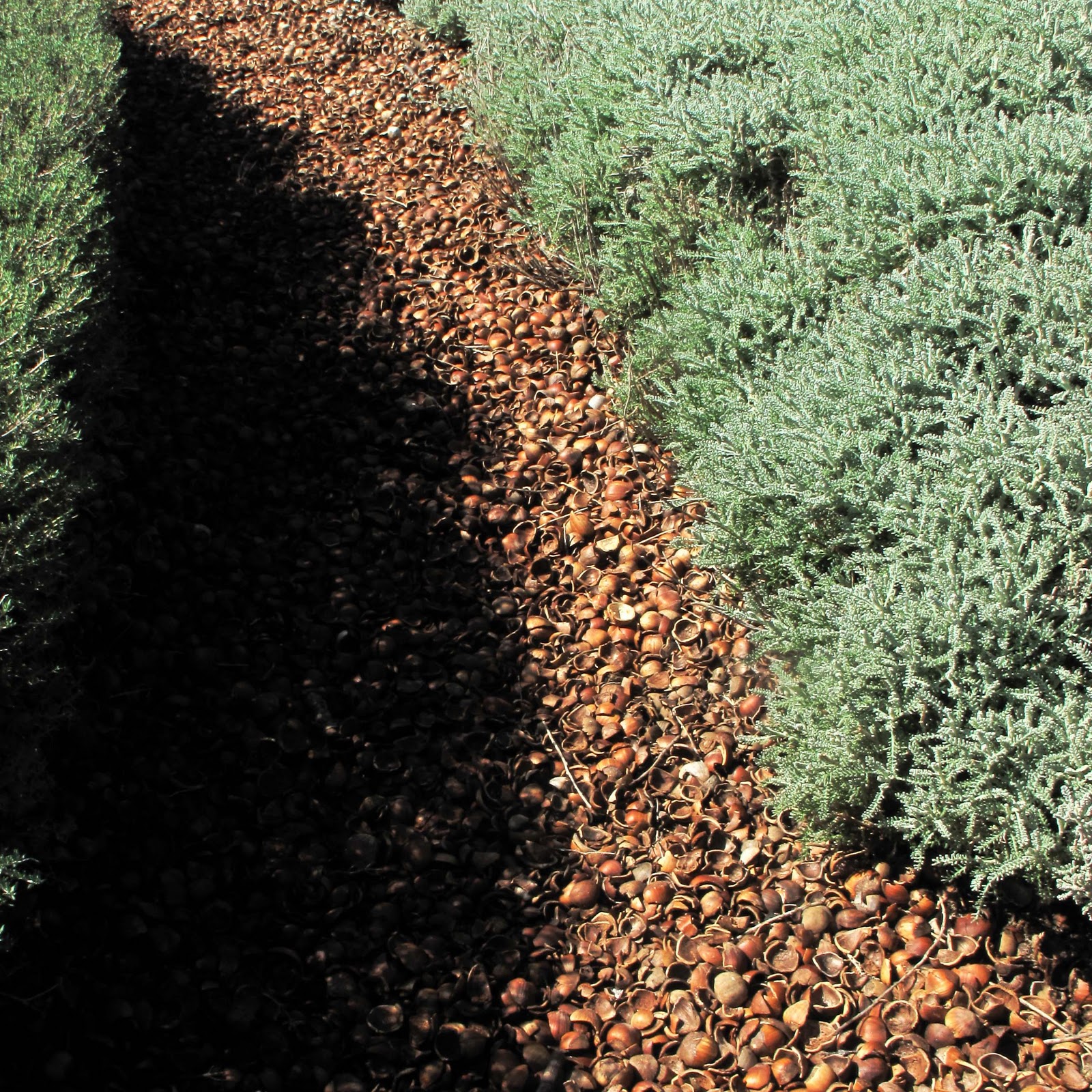 A Frayed Knot: Buying the iPad 2: I did it!