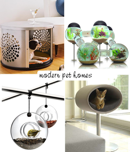 Modern pet homes