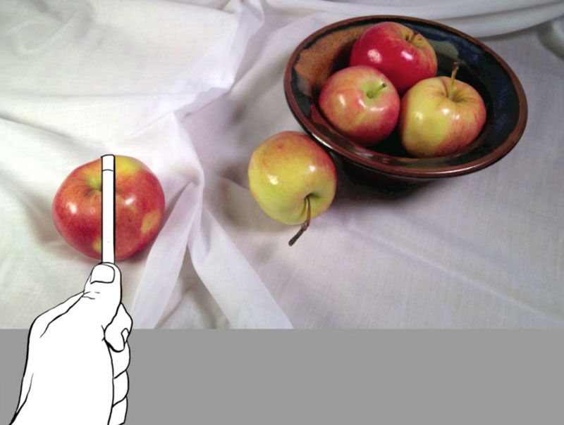 Proper Proportions of Figures and Objects