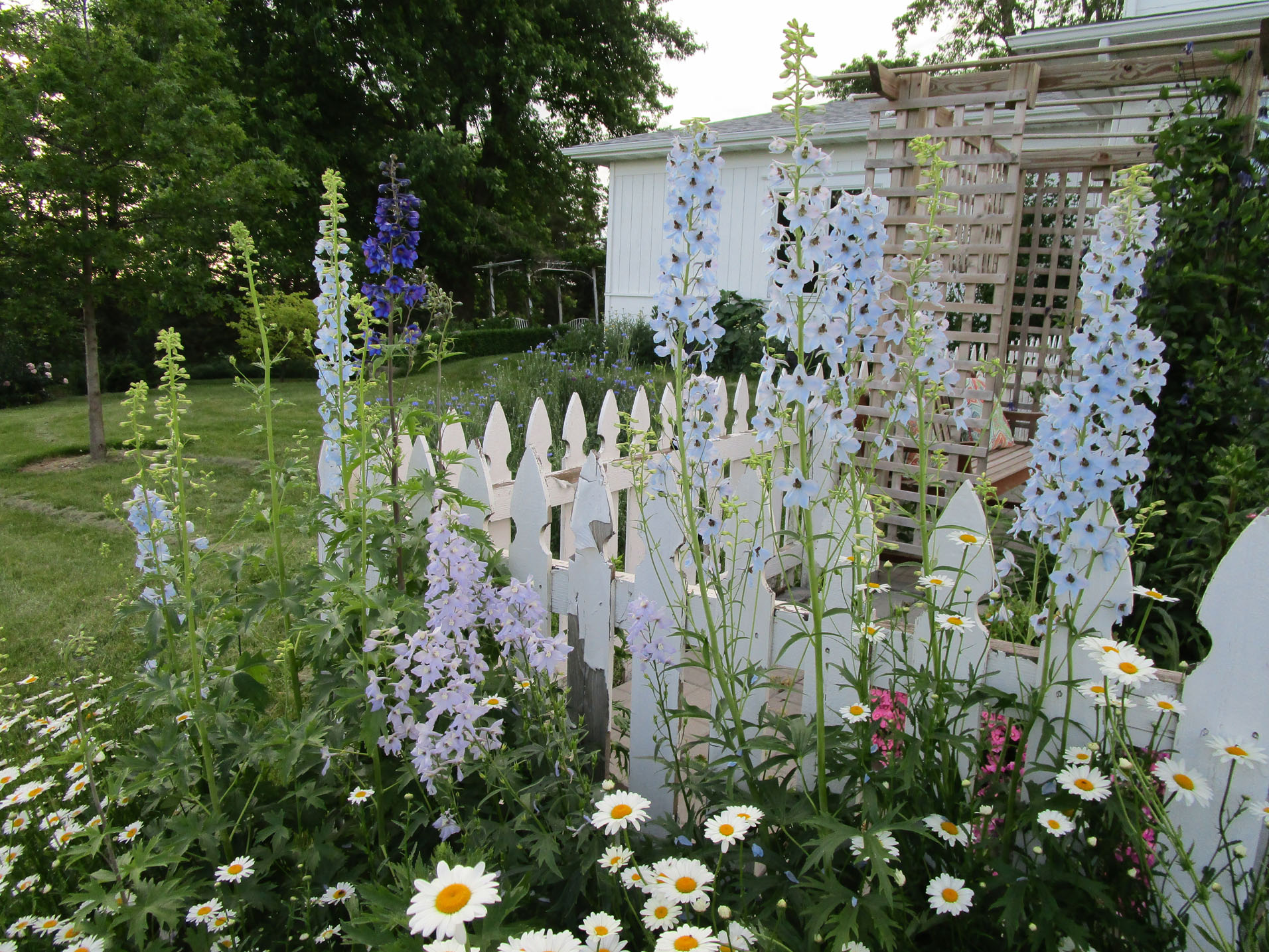 Garden Fancy: June Flowers