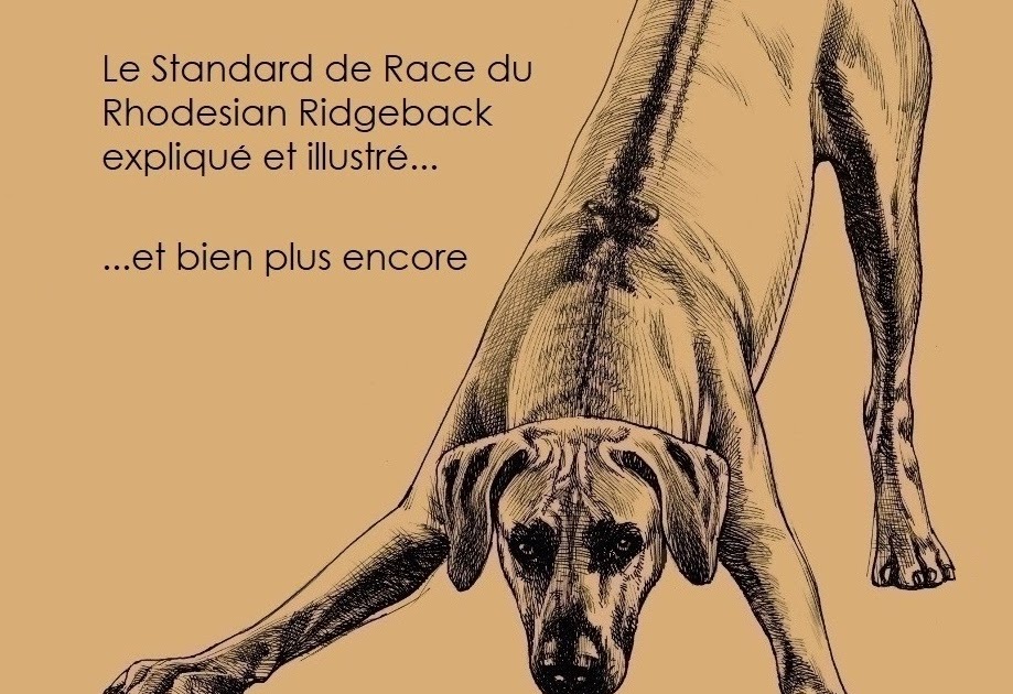 LE RHODESIAN RIDGEBACK DÉVOILÉ: HOME