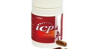 icp capsule - what is it? ~ Tasly Health Products