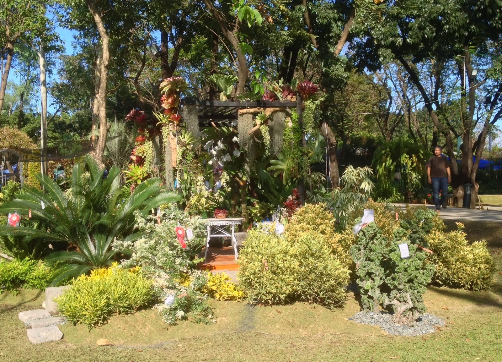 Fidel's Ismo: Micro Park as relief to urban blight